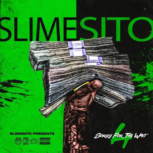 Sorry 4 The Wait Album Cover