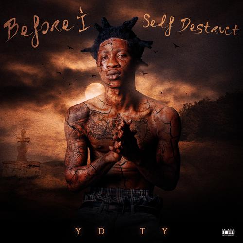 Before I Self Destruct Album